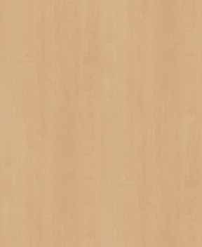 メラミン化粧板 アイカウイルテクトPlus EJY2081K 4x8 メープル 柾目 化粧板.com