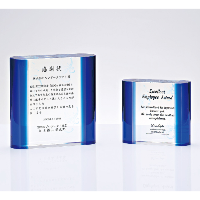 クリスタルトロフィー フルカラー印刷 H02-01 Aサイズ