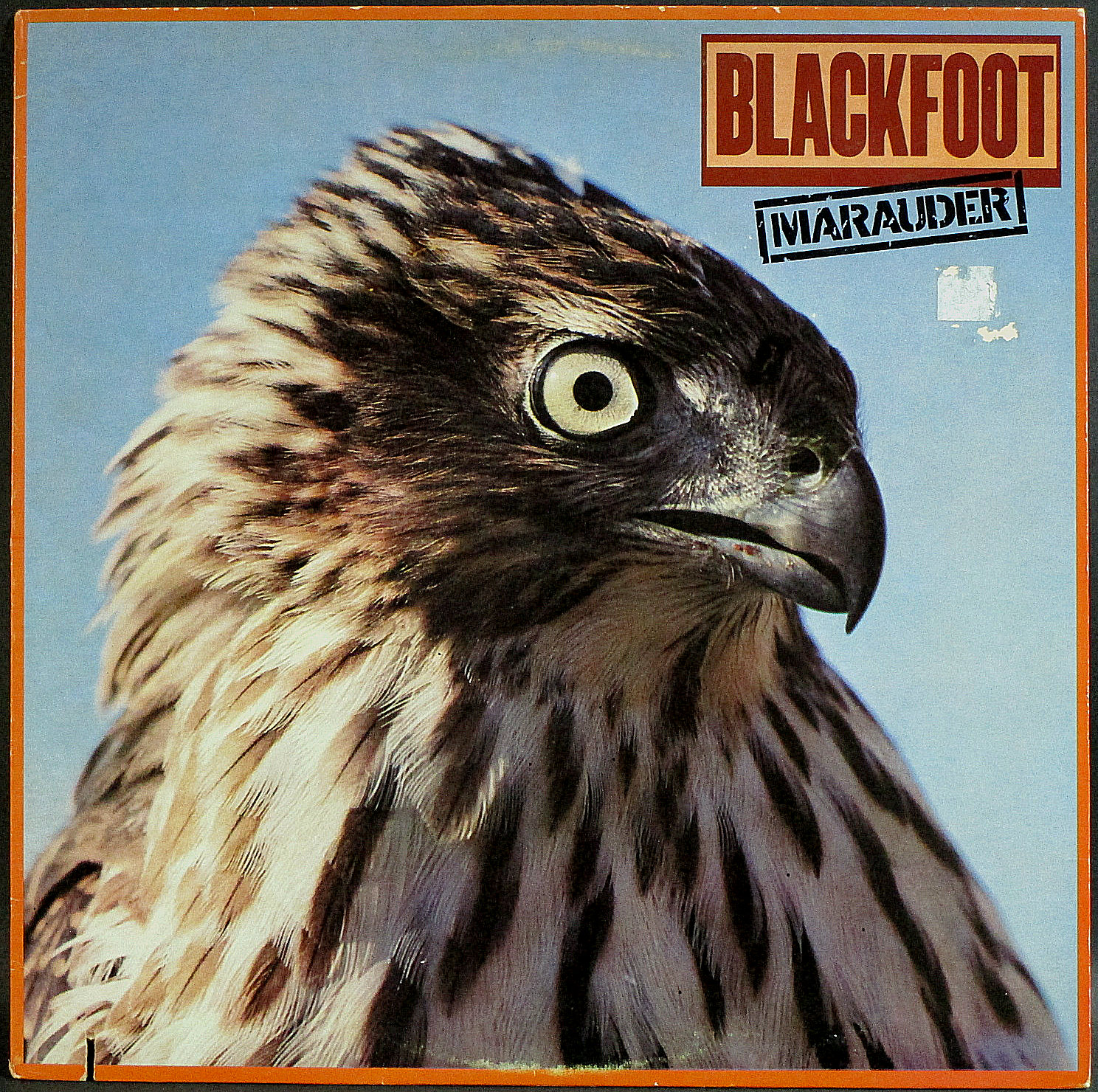 Blackfoot ブラックフット / Marauder 略奪者 | 米国ロック ハードロック 中古レコード通販はセブンビートレコーズ