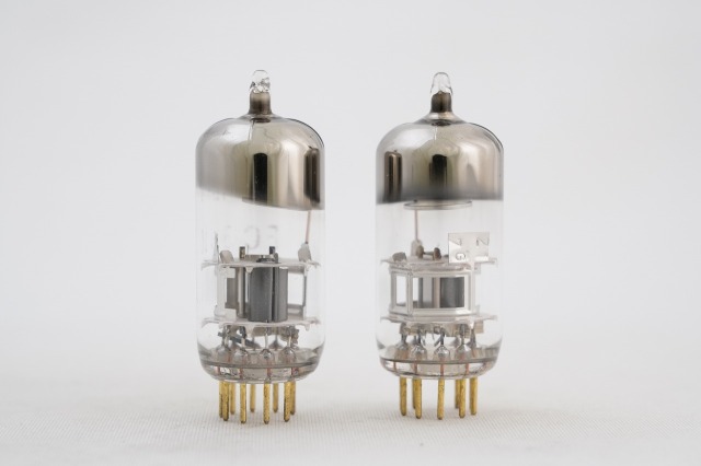 EC8010 Siemens 2本1組