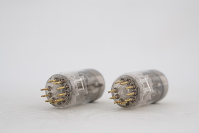 EC8010 Siemens 2本1組