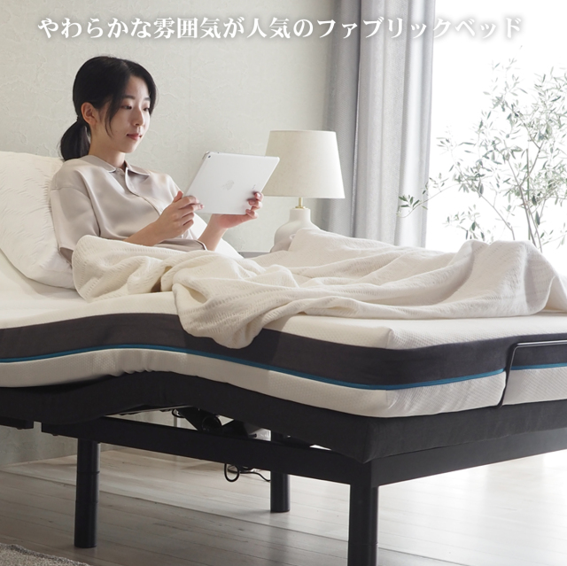 アジャスタブルベッド シングル 電動ベッド 電動リクライニング ベッド アジャスタブルベース G-Freelite ベッドフレーム 2モーター