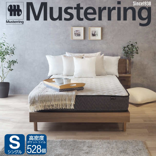 ムスタリング - musterring