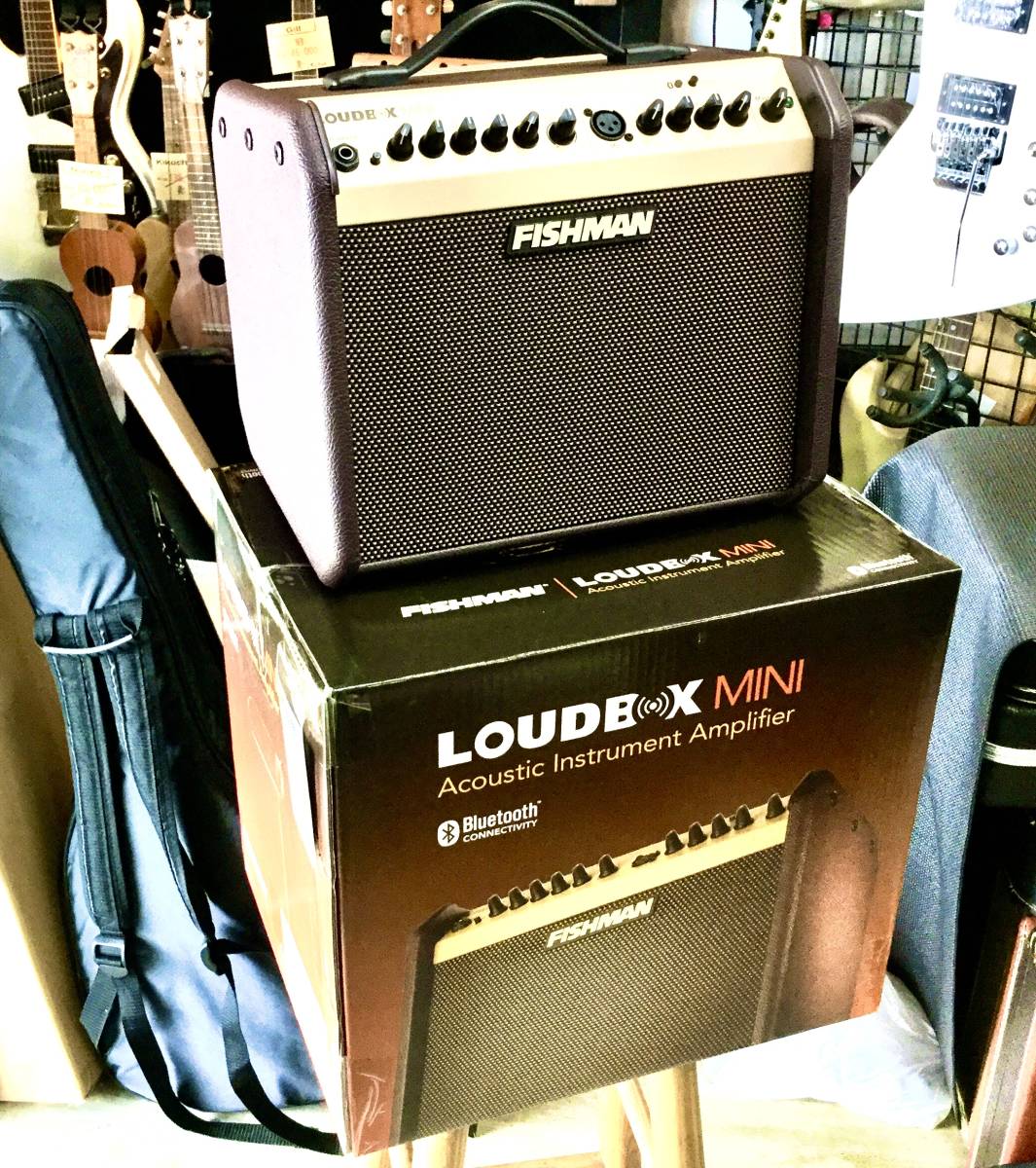 FISHMAN LOUDBOX MINI BLUETOOTH 【 フィッシュマン アコギアンプ 】ラウドボックス ミニ アコースティックアンプ ...