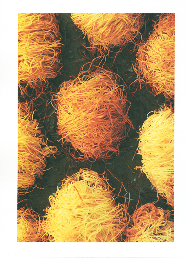 Macedonia: The Cookbook : Recipes and Stories from the Balkans (マケドニア)