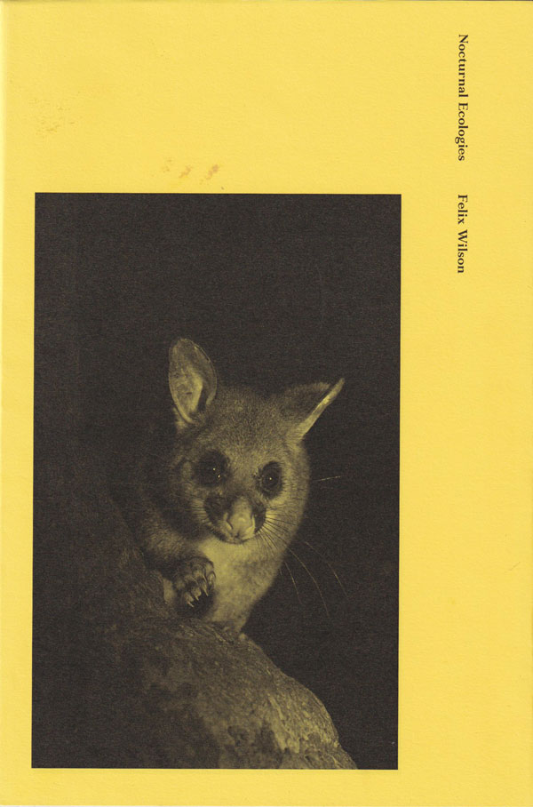 古本 dessin: Felix Wilson: Nocturnal Ecologies（Felix Wilson. Perimeter ...