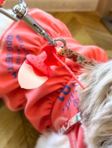 【DOG GOODS】どんぐりライト DOG DEPT（ドッグデプト） オンラインショッピング