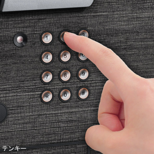 エーコー(EIKO)D-FACE 耐火金庫 テンキー式/内蔵シリンダー錠 DFS2-E