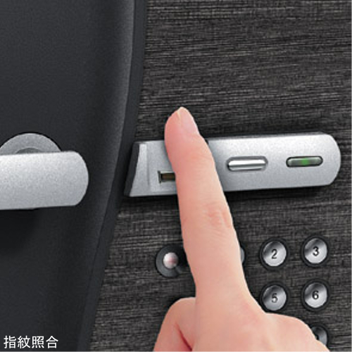 エーコー(EIKO)D-FACE 耐火金庫 マルチロック式/内蔵シリンダー錠 DFS2-FE