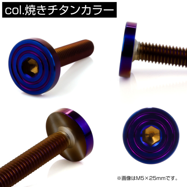 6×40mm P1.0 シェルヘッド フラット ステンレスボルト 六角穴付 マットタイプ SUS304 焼きチタンカラー TR0870 【メール便可】
