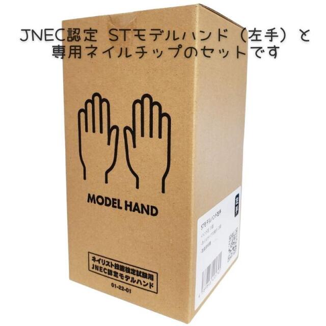 JNEC認定 滝川 STモデルハンド 左手セット ネイルチップ付き | 滝川stモデルハンド（両手・右手・左手）はじめスペース両面テープ、ネイルチップ、1級・2級・3級ネイル検定用品ならEC ...