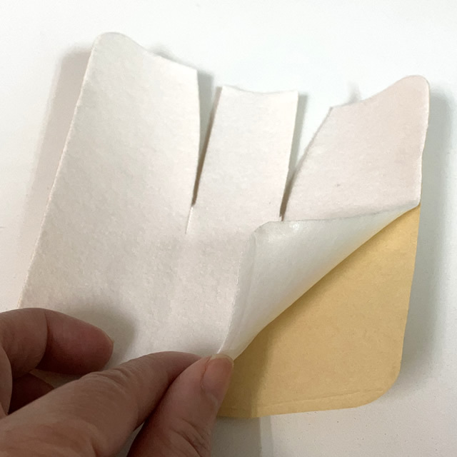 人工蛹室DSPC 透明PETタイプCL【大】（フタ付き）