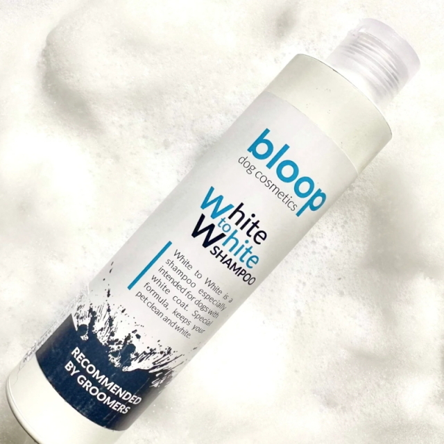 白いコートがより白く輝きもアップ