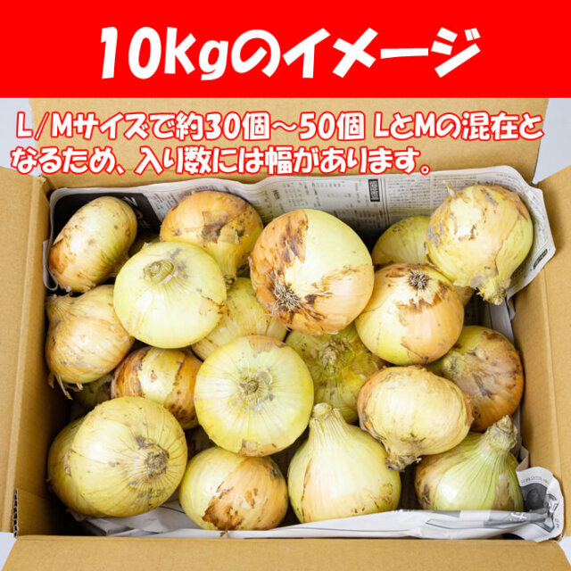 新たまねぎ 10kg （2L/Lサイズ）深谷/本庄産 送料無料【約30個～50個 季節野菜 4月～6月 常温発送】