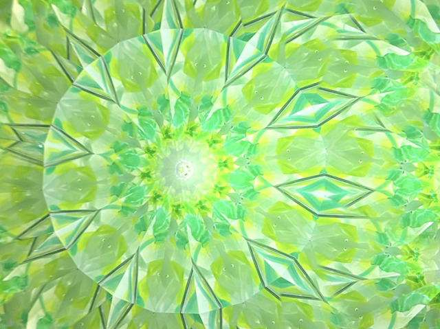 林和子「輝星」グリーン（HK5021）3ミラー・オイルタイプ 万華鏡専門店 鎌倉ヴィヴァン（公式万華鏡通販サイト）