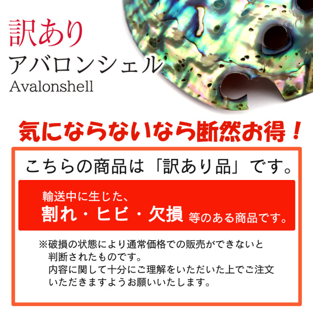 訳あり アバロンシェル ホワイトセージの浄化皿 パウアシェル 貝殻 ニュージーランド産