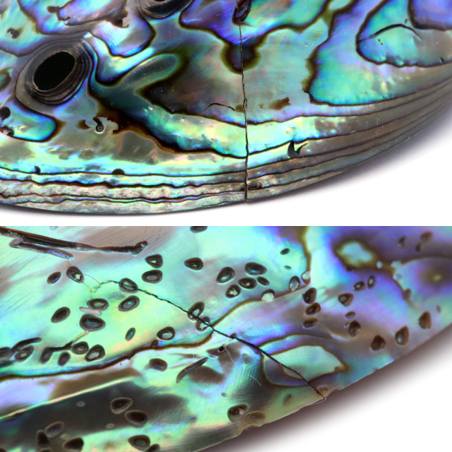 訳あり アバロンシェル ホワイトセージの浄化皿 パウアシェル 貝殻 ニュージーランド産