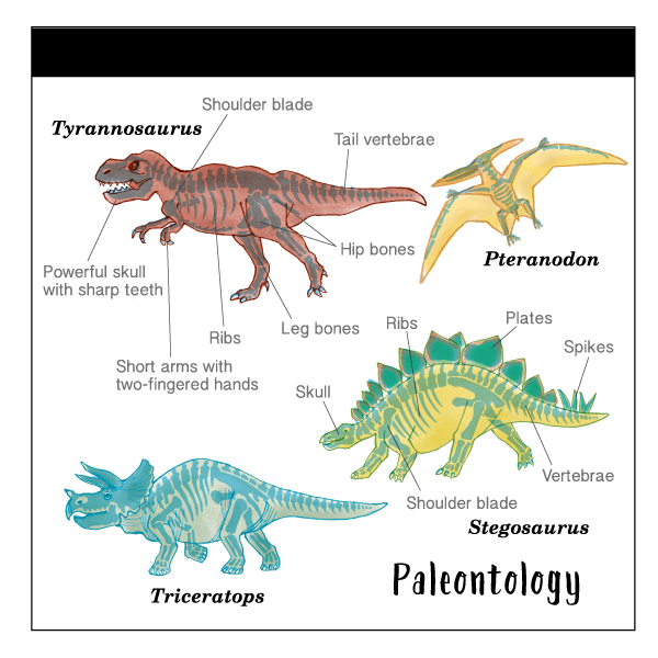 STUDY HOLIC（スタディホリック）- ステーショナリー・雑貨オリジナルブランド - GreenFlash（グリーンフラッシュ）