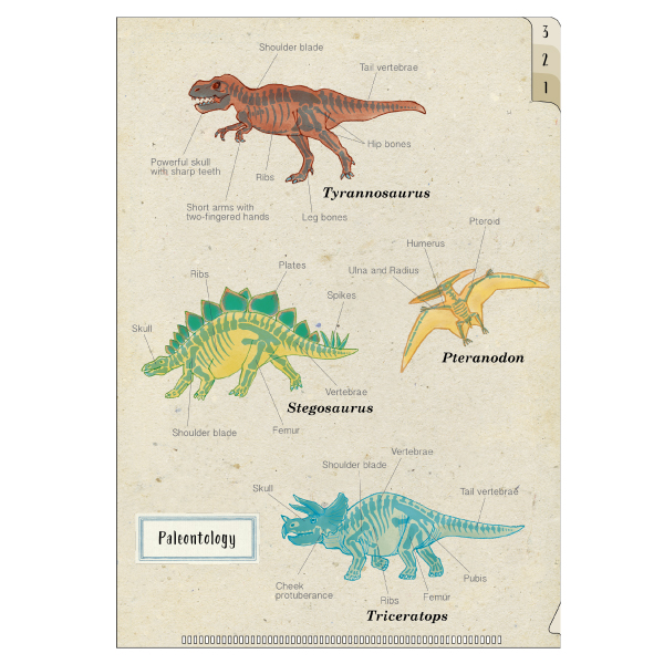 STUDY HOLIC（スタディホリック）- ステーショナリー・雑貨オリジナルブランド - GreenFlash（グリーンフラッシュ）