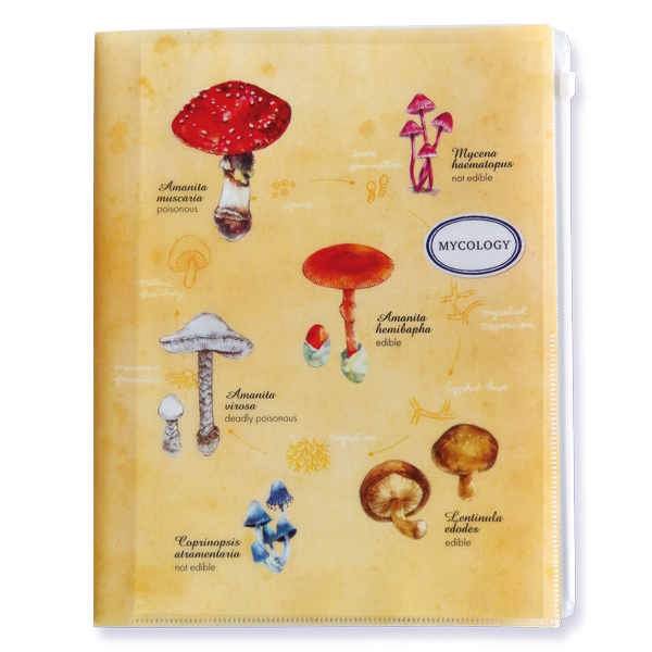 STUDY HOLIC | GreenFlash（グリーンフラッシュ） - ときめき あふれる Stationery