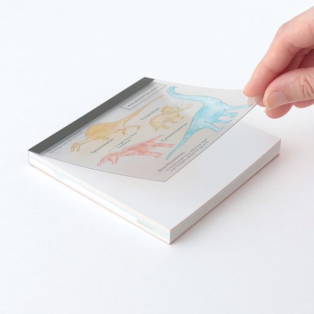 STUDY HOLIC メモパッド・スクエア ST-160 | デザインステーショナリーのGreenFlash（グリーンフラッシュ）