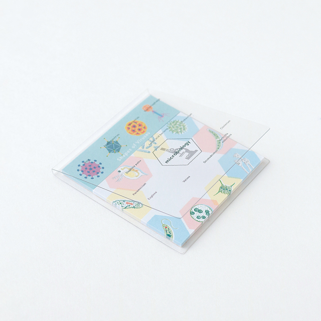 STUDY HOLIC クリアカバー付箋 ST-178 | デザインステーショナリーのGreenFlash（グリーンフラッシュ）