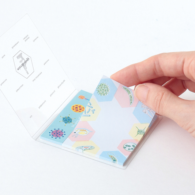 STUDY HOLIC クリアカバー付箋 ST-178 | デザインステーショナリーのGreenFlash（グリーンフラッシュ）