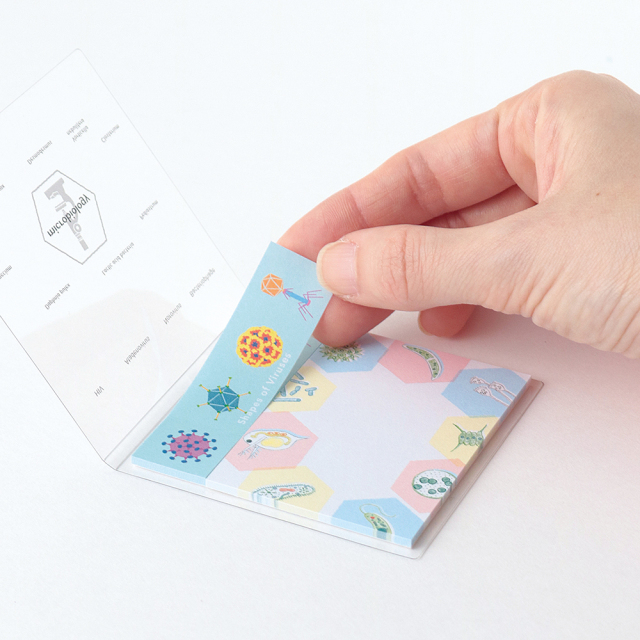 STUDY HOLIC クリアカバー付箋 ST-178 | デザインステーショナリーのGreenFlash（グリーンフラッシュ）