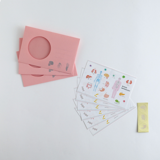 STUDY HOLIC レターセット ST-262 | デザインステーショナリーのGreenFlash(グリーンフラッシュ)