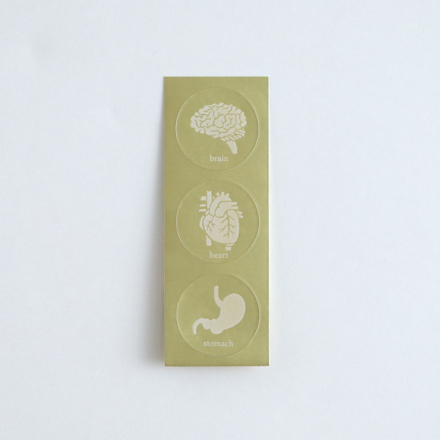 STUDY HOLIC レターセット ST-262 | デザインステーショナリーのGreenFlash(グリーンフラッシュ)