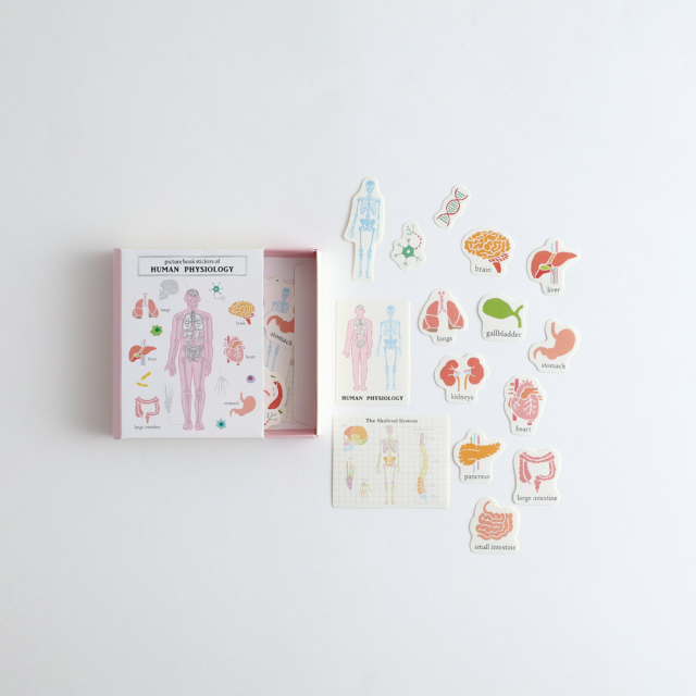 STUDY HOLIC 図鑑型ケース付きフレークシール ST-280 | デザインステーショナリーのGreenFlash(グリーンフラッシュ)