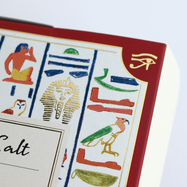 STUDY HOLIC 図鑑型BOX付きバスソルト ST-290 | デザインステーショナリーのGreenFlash(グリーンフラッシュ)