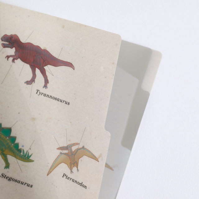 STUDY HOLIC A5ポケットクリアファイル（古生物学）ST-332 | デザインステーショナリーのGreenFlash(グリーンフラッシュ)