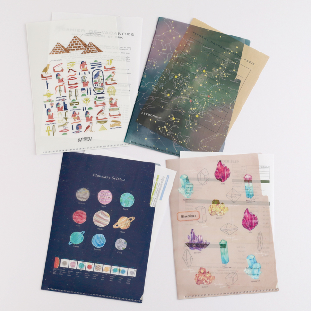 STUDY HOLIC A5ポケットクリアファイル（進化生物学）ST-343 | デザインステーショナリーのGreenFlash(グリーンフラッシュ)