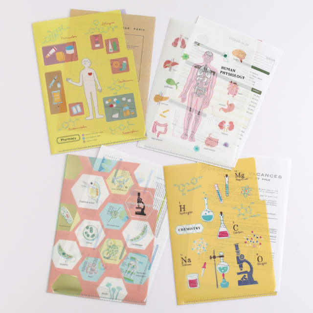 STUDY HOLIC A5ポケットクリアファイル（進化生物学）ST-343 | デザインステーショナリーのGreenFlash(グリーンフラッシュ)