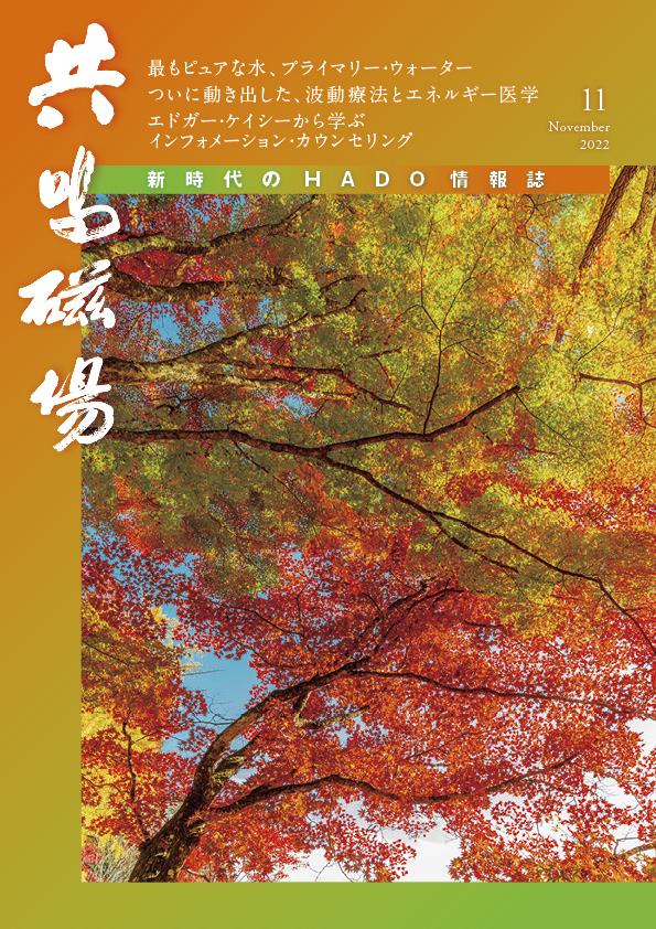 共鳴磁場 2022年11月号 波動ライフ Hadolife WebShopping