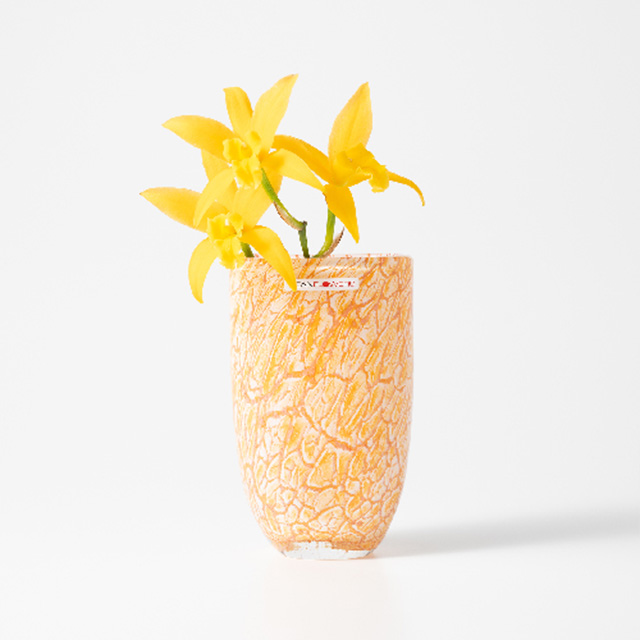 Henry Dean/DEAN FLOWERS（ヘンリーディーン） V.Joe/カーネリアン | ハマフローリスト