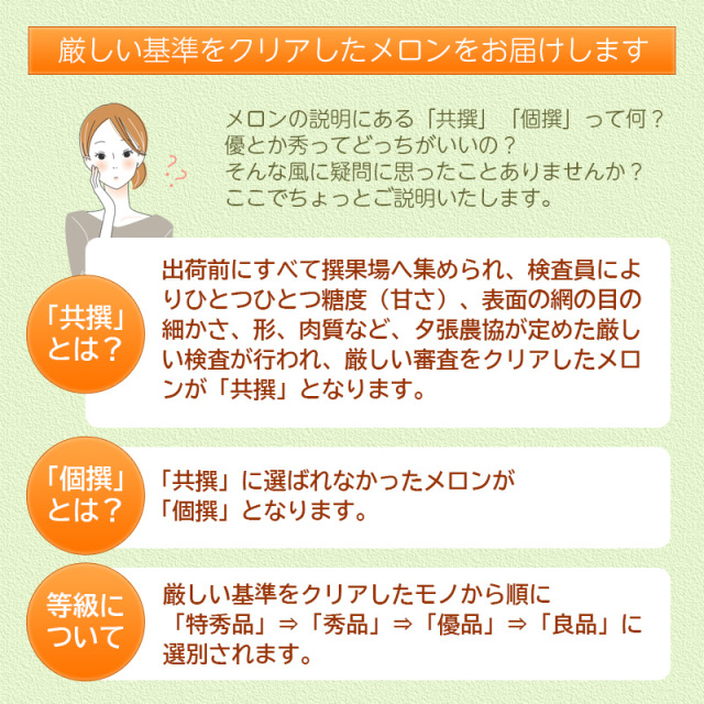 【予約】 夕張メロン・富良野メロン食べ比べセット1.3kg(L) 1.6kg(2L) 2kg(3L) 各1セット ギフトに！ 北海道産メロン 赤肉メロン 青肉メロン セット 北海道産 7月上旬 ...