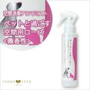 生活の木】空間消臭アロマ『ハーバルグリーン 100.0 ◇30mL◇』[08-140