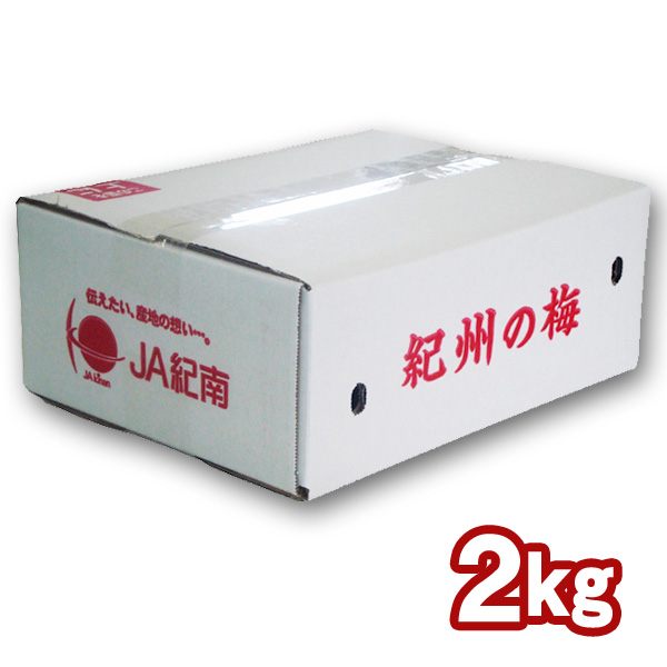 ※2024年販売終了※【送料無料】＜梅ジュース・梅酒用＞紀州産南高梅（2Lサイズ） 約2kg （インターネット限定） 紀州和歌山 梅干し・みかんのJA紀南
