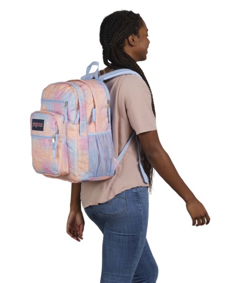 BIG STUDENT（ビッグスチューデント） OMBRE MOTHERBOARD（柄）|【公式通販】JANSPORT（ジャンスポーツ)日本 ...