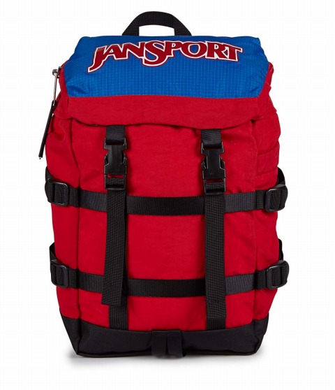MINI SKIP PACK（ミニスキップパック）RED TAPE (赤) |【公式通販】JANSPORT（ジャンスポーツ)日本公式オンラインショップ
