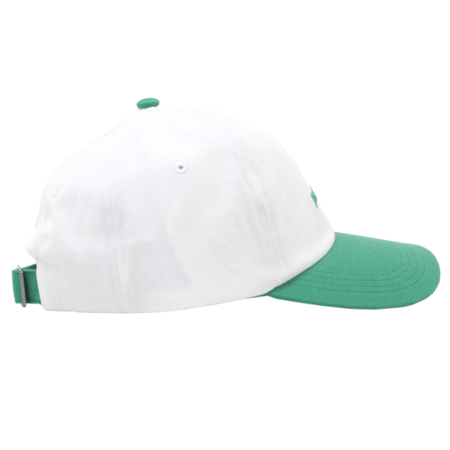 Patagonia パタゴニア フィッツロイ・アイコン・トラッド・キャップ 38364