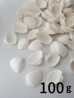 アルカ【4cm前後/100g】[メール便可-4袋まで] En: Arca Arca(size: approx. 3cm, per 100g ...