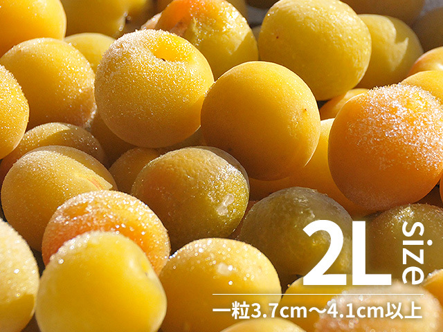 氷結青梅「NANKOU」厳選完熟南高梅 4Lサイズ 3kg