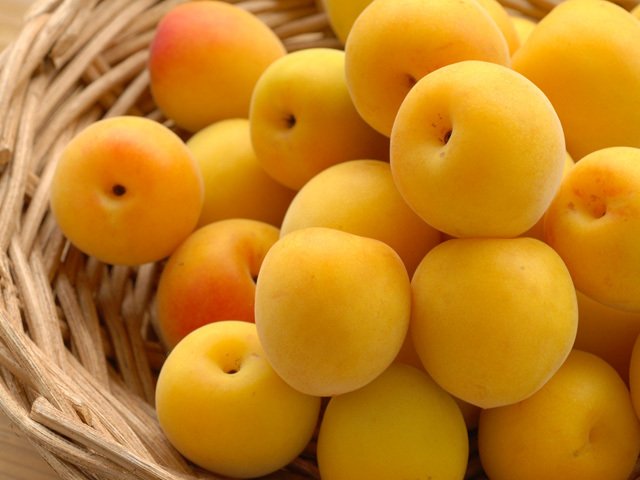 冷凍梅 氷結青梅「NANKOU」厳選完熟梅 3Lサイズ 2kg｜南高梅の農家直送・青梅通販「紀州梅苑」