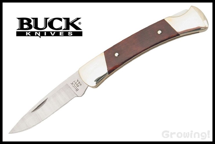 ナイフショップ グローイング！ BUCK【バック】ナイフ 503 プリンス 【420HC】【ダイマラックス】Prince 折りたたみ