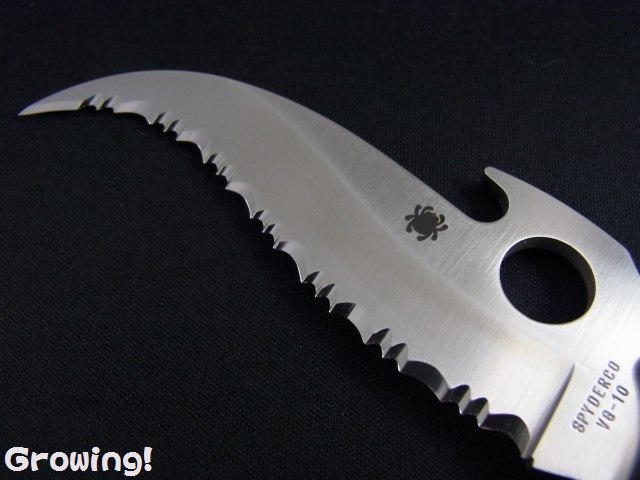 ナイフショップ グローイング！□Spyderco【スパイダルコ】□ メイトリ