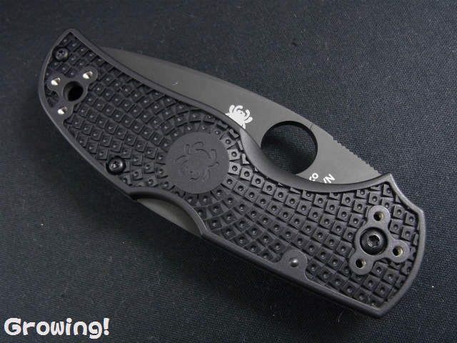 ナイフショップ グローイング！□Spyderco【スパイダルコ