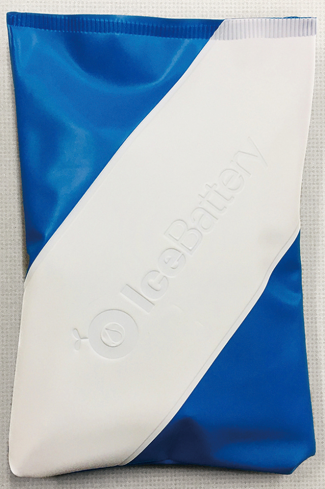 工事資材コム | 【法人・個人事業主様限定】Ice Battery Fresh アイスバッテリーフレッシュ N21-23